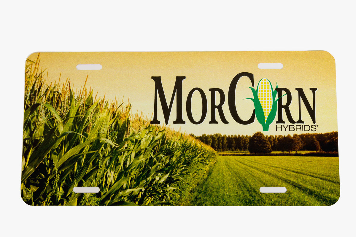C100241 | MorCorn License Plate Insert – myMFA Shop